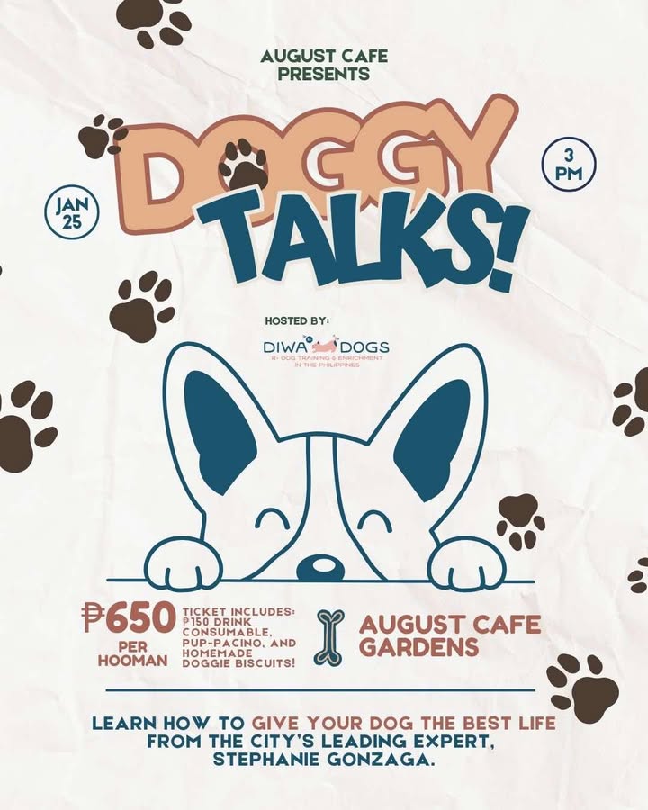 Learn with your dog at Doggy Talks – Diwa Dogs